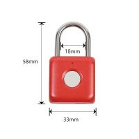 China Mini RARLUX SY51 IP67 Smart Fingerprint Padlock for Travel Luggage & School Locker Security for sale