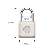 China Mini RARLUX SY51 IP67 Smart Fingerprint Padlock for Travel Luggage & School Locker Security for sale