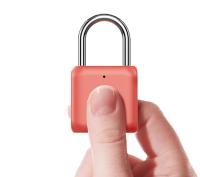 China Mini IP65 Smart Fingerprint Padlock School Locker Travel Luggage Suitcase Security Door Locks-RARLUX Eco-Friendly Electronic 304 for sale