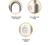 China Mini IP65 Smart Fingerprint Padlock School Locker Travel Luggage Suitcase Security Door Locks-RARLUX Eco-Friendly Electronic 304 for sale