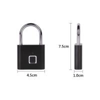 China Factory Electronic USB Charging Portable Zinc Alloy Smart Padlock with 10 Sets Fingerprints Waterproof USB Finger Print Lock for sale