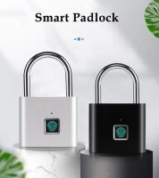 China Factory Electronic USB Finger Print Padlock USB Charging Portable Zinc Alloy Smart Padlock with 10 Sets Fingerprints for sale