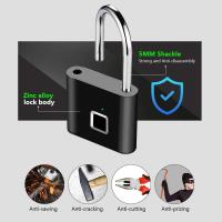 China Factory Electronic USB Finger Print Padlock USB Charging Portable Zinc Alloy Smart Padlock with 10 Sets Fingerprints for sale