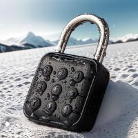 China Security Electronic Password Combination Padlock RARLUX Brand School Locker Battery Powered IP67 Waterproof 12-Month for sale