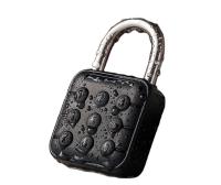 China Security Electronic Password Combination Padlock RARLUX Brand School Locker Battery Powered IP67 Waterproof 12-Month for sale