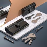 China Black Euro Cylinder Lock Polish Chrome Plated Solid Brass Body with 