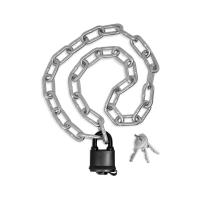 China Best Selling Rarlux Model 2325 8mm Durable Security Hardened Anti-Theft Iron Motorcycle Padlock Waterproof Key Unlock High for sale