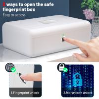 China Key Storage Fingerprint Password Box Storage Box Watch Jewelry Box Cosmetics Key ID Privacy Desktop Finger Print Padlock for sale