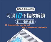 China Key Storage Fingerprint Suitcase Safe Box Office & Home Document Jewelry Storage Padlock Rarlux S-S2 for sale