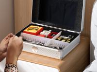 China Key Storage Fingerprint Suitcase Safe Box Office & Home Document Jewelry Storage Padlock Rarlux S-S2 for sale
