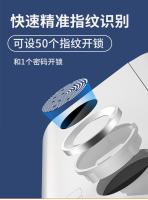 China Key Storage Desktop Box Fingerprint Lock Children Students Multi-functional Plastic Pencil Case Patent for sale