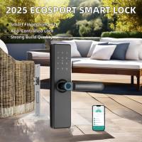 China 2025 Ford Ecosport Driver Side Brass Sliding Door Lock Handle Multi-Point Outdoor Smart Tuya for Cloud Data Storage Option for sale