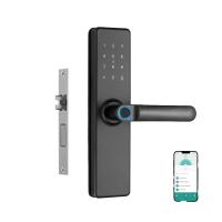 China 2025 Ford Ecosport Driver Side Brass Sliding Door Lock Handle Multi-Point Outdoor Smart Tuya for Cloud Data Storage Option for sale