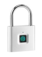 China 2024 High Security Zinc Alloy Electronic Fingerprint Padlock for Brass Gym Cabinets Drawers Anti-Theft Memory Card Data Storage for sale