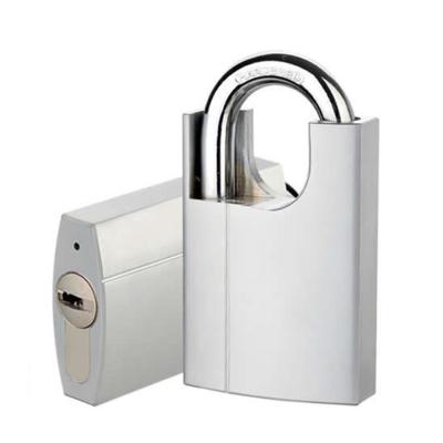 China BRASS PADLOCK WITH SHACKLE PROTEGTED (INTERCHANGEABLE CYLINDER for sale