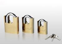 China SHACKLE PROTECTED IRON DISC PADLOCK for sale