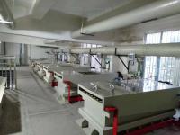 China Fully Automatic Silver Refining Machine 200kg Capacity Silver Electrolysis for sale