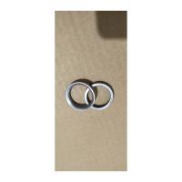 China 3943449 Intake Valve Seat Ring for HUANGHE COMMANDER ISB6.7 Diesel Engine Replacement for sale