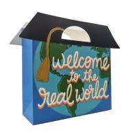 China 157g SGS Shopping Christmas Gift Paper Bag  Recycled Printed With Twisted Rope Handles for sale