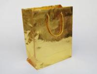 China Promotional Gift Branded Paper Bags SGS 200gsm Custom Printing 23 X 35 X 12.5cm for sale
