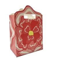 China C1S Kraft Branded Paper Bags With Handles PB05 EPS Luxury Shopping for sale