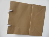 China Recycled Branded Shopping Bags Brown Custom Kraft Paper Bags 25*35*10cm for sale