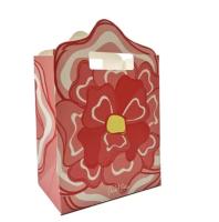 China Colorful Shopping Gift Bags Waterproof Custom Design Bags 4C 0C Printing for sale