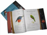 China 200pp Custom Book Printing Services Matte Lamination Magazine Catalogue for sale