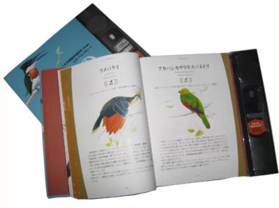 China 200pp Custom Book Printing Services Matte Lamination Magazine Catalogue for sale