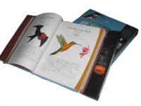 China 200pp Custom Book Printing Services Matte Lamination Magazine Catalogue for sale