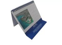 China 13 Sheets Cardboard Desk Calendar OEM Wall Calendar Printing for sale