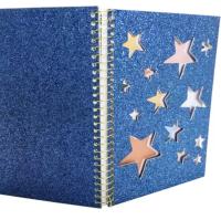 China Custom Printing Spiral Paper Notebook 100GSM Personalized Budget Planner Book OEM for sale