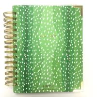 China Custom Printing Spiral Paper Notebook 100GSM Personalized Budget Planner Book OEM for sale