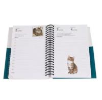 China Gold Foil Stamping Spiral Paper Notebook 100GSM - 120GSM Custom Spiral Notebook for sale
