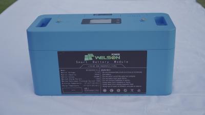 China Lithium Ion Phosphate 48V Lifepo4 Battery 12V 12.8V 48V 100ah 150ah 200ah 300ah 400ah for sale