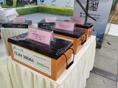 China ESS Custom Lithium Ion Battery Manufacturers 51.2V 30Kwh 50kwh 60Kwh 200kwh 100Ah Pack for sale