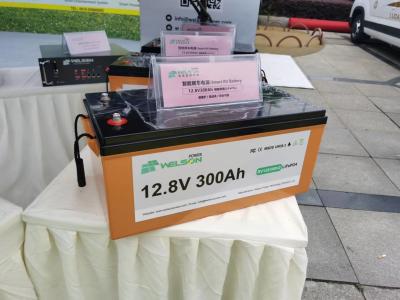China Motorcycle Solar Lithium Iron Phosphate Battery 300ah 12V 100ah For Inverter  Rv for sale