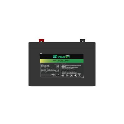 China Ev Electric Vehicle Solar Lithium Iron Phosphate Battery 24 Volt LiFePO4 12V 100ah BMS for sale