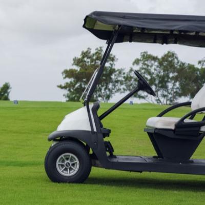China 12v 48v 100ah Lifepo4 Battery Pack Golf Cart Safe Powerful Easy Plug And Play for sale