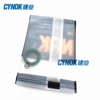 China Standard NAK Hydraulic Cylinder Oil Seal 30008000026 for sale