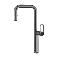 China Brand New Luxury Gourmet Spring Kitchen Sinks Pull Out Kitchen Faucet Extension for sale
