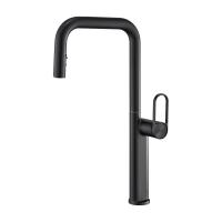 China Brand New Luxury Gourmet Spring Kitchen Sinks Pull Out Kitchen Faucet Extension for sale