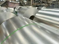China Factory Price Color PPGI Galvanized Steel Coil Galvanized Steel Strip Coil for Building Material for sale