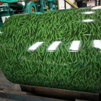 China Various Color ASTM, Bis, DIN, GB, JIS, PPGI/PPGL/Pre-Painting Galvanized/Color Coated Steel Sheet/ Coil/Roofing Sheet Z100 Z105 Z110 for sale