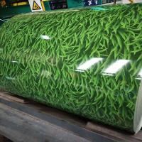 China Factory Manufacture Directly Sales PPGI Color Coated Galvanized and Prepainted Steel Coil for Sheets for sale