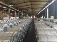 China Chinese Manufacturer PPGI Galvanized Steel Coil Dx51d for sale