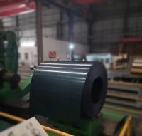 China Hot Rolled Prepainted Plate Steel Coil Relong Customization for sale