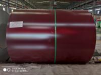 China Factory Price Prime Hot Dipped PPGL Color Coil Coated Galvanized Steel Coil Sheet for Steel Material PPGL Color Prepainted for sale