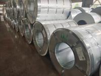 China PPGI/PPGL/Gi/Gl/Ral Colour/Prepainted/Color Coated/White Coated Galvanized Steel Sheet Galvanized Steel Coil /Roofing Sheet for sale