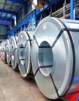 China Gi Galvanized Steel Coil Roofing Sheet Building Material Roof Sheet Gl/Aluzinc Steel Coils Sheet for sale